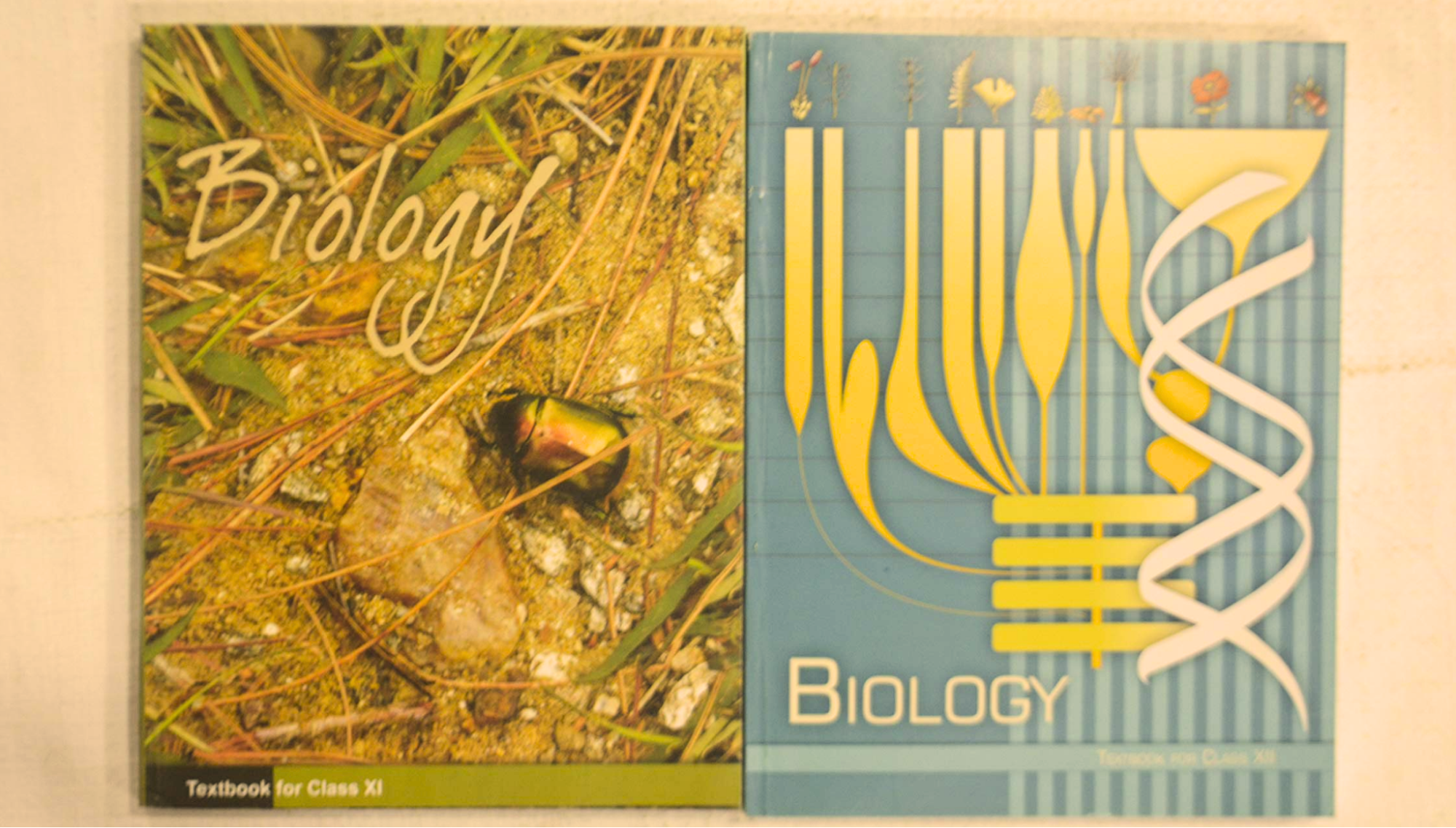 NEET Deleted Syllabus 2025: Subject-Wise Reduced Syllabus by NTA