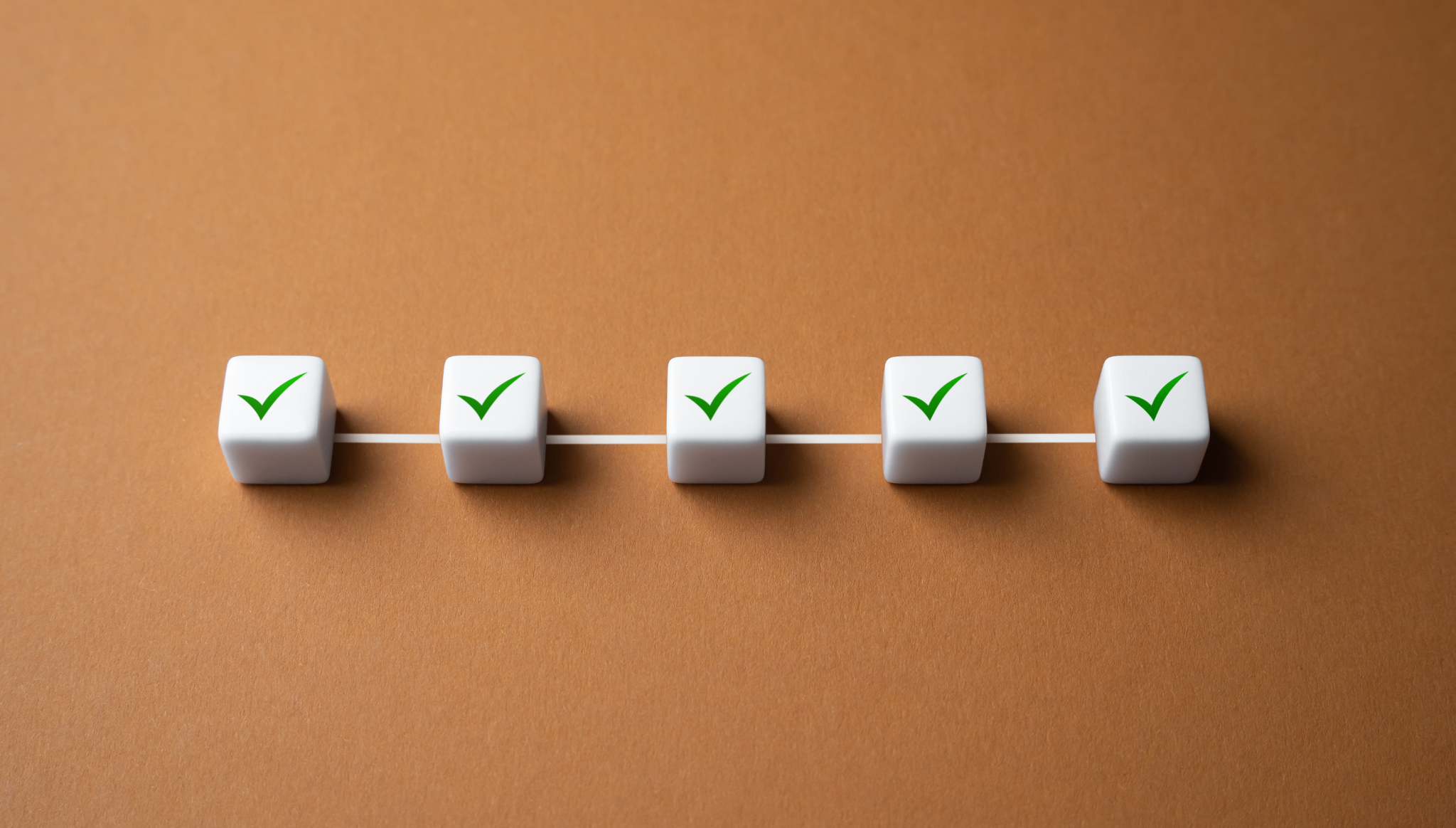 NEET Study Plan for Class 11 Students: A Clear 2026 Roadmap